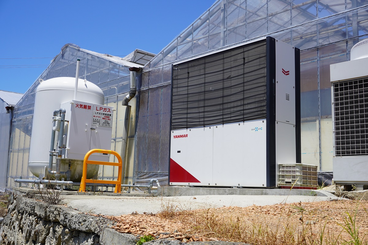 「SDGs胡蝶蘭」を支える名脇役 ―GHP、低消費電力で効率よく室温管理｜ニュースイッチ by 日刊工業新聞社